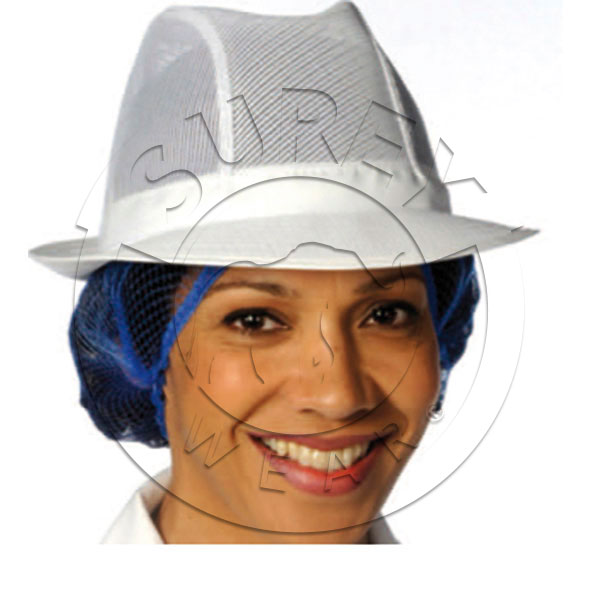 Visitor cap | Surey Tech